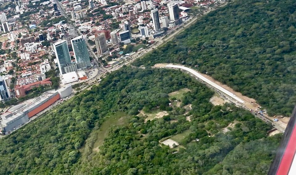 La necesaria reforestación de Porongo también es responsabilidad de los ...